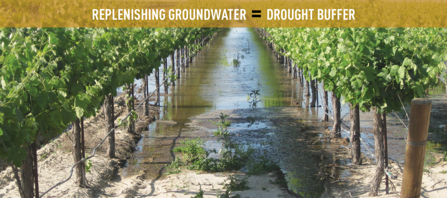 Pioneering Drought Solutions to Bolster California’s Water Future ...