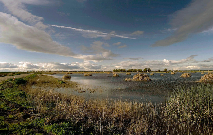 How water managers can build recharge basins to boost resilience for ...