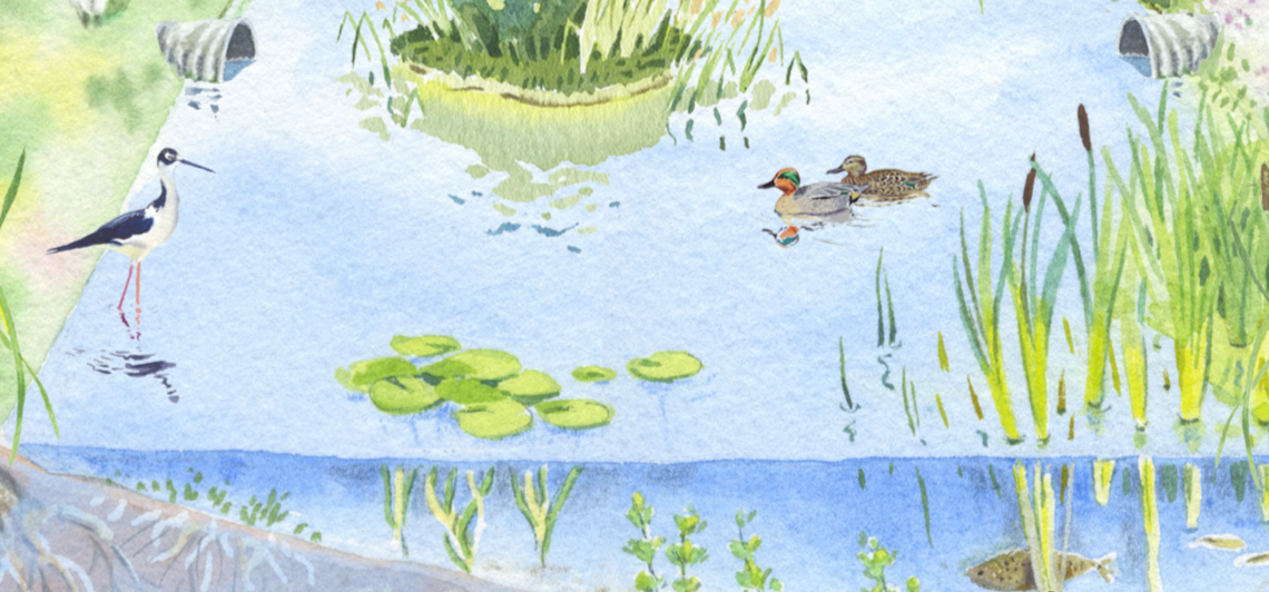 How water managers can build recharge basins to boost resilience for ...