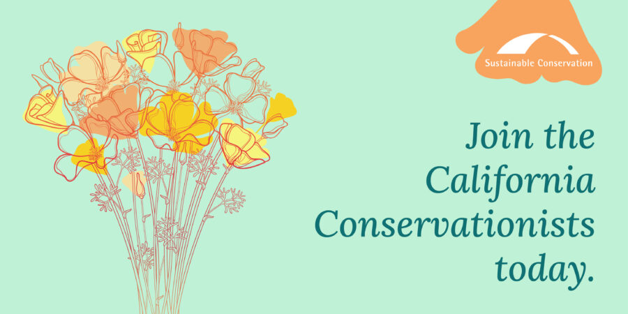 Homepage | Sustainable Conservation