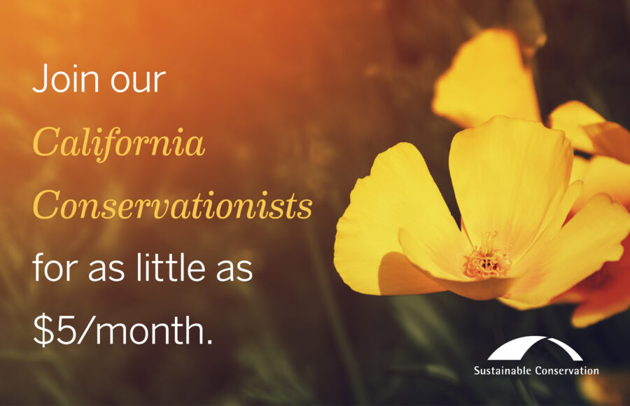 Homepage | Sustainable Conservation