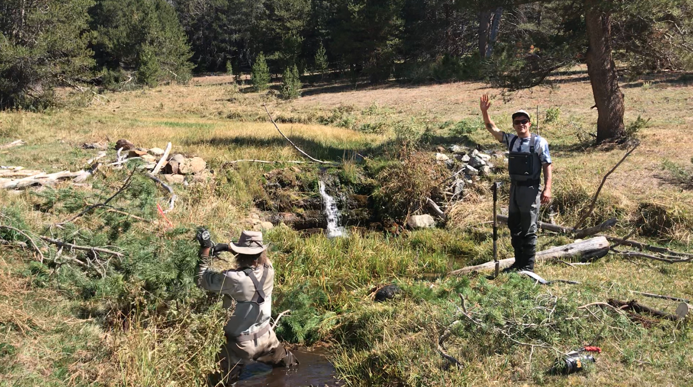 Restoration Round-Up: Kern Plateau | Sustainable Conservation