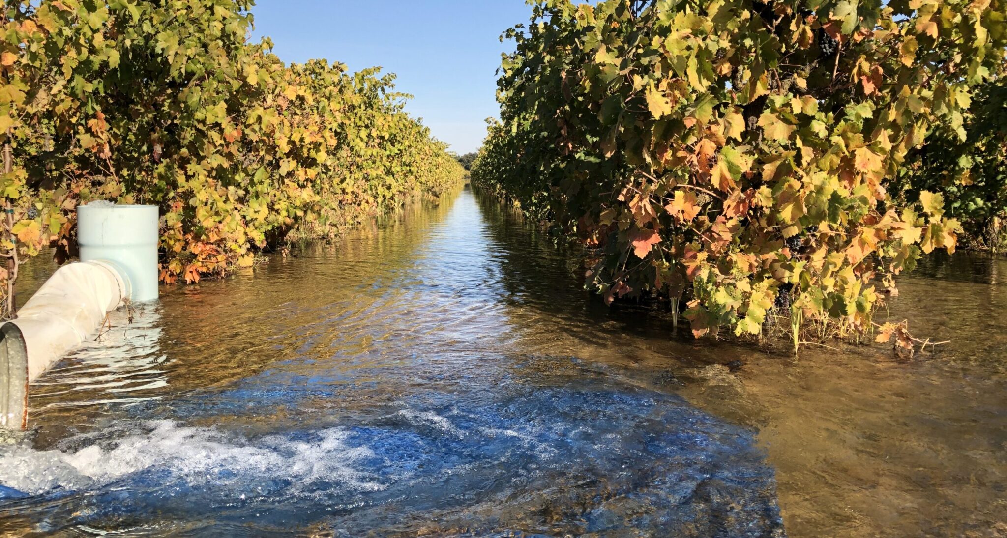 A Watershed Moment Interview Series: Turlock Irrigation District’s ...