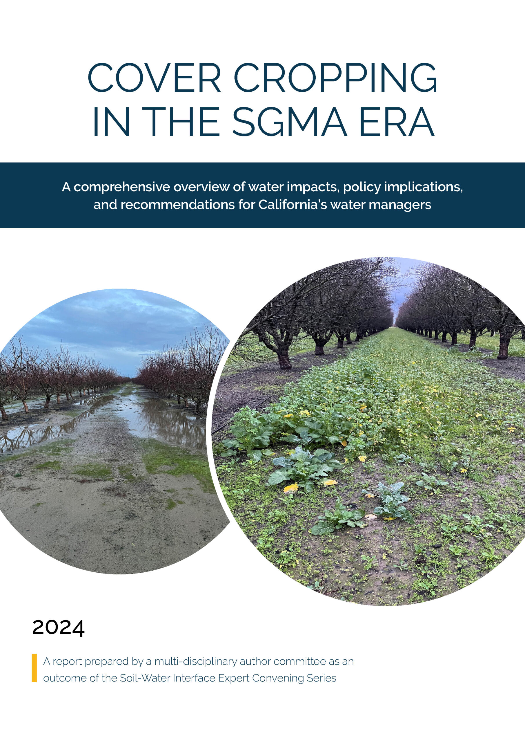 Multi-Disciplinary Committee Jointly Publishes Report on the ...