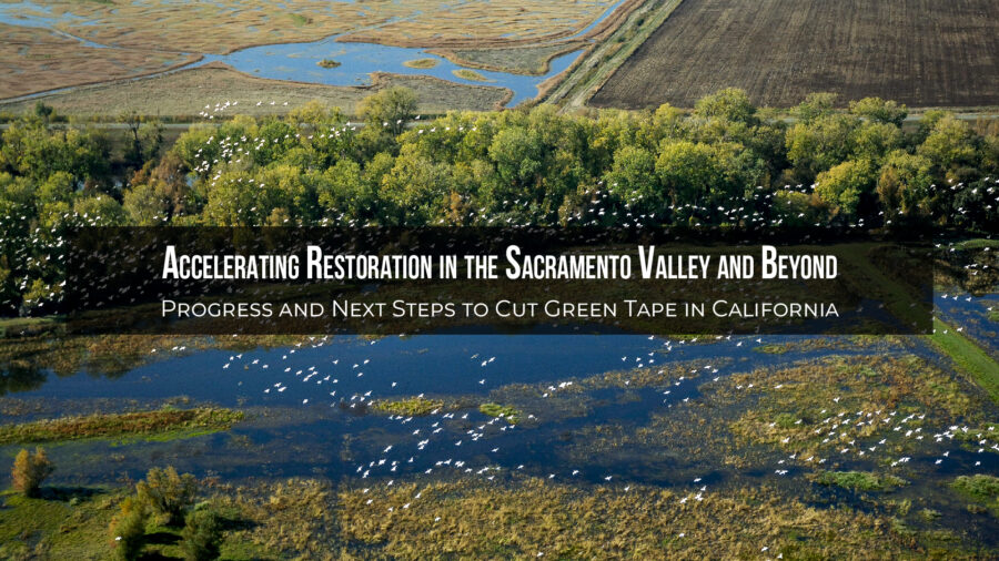 Sustainable Conservation Publishes Key Report on Accelerating ...